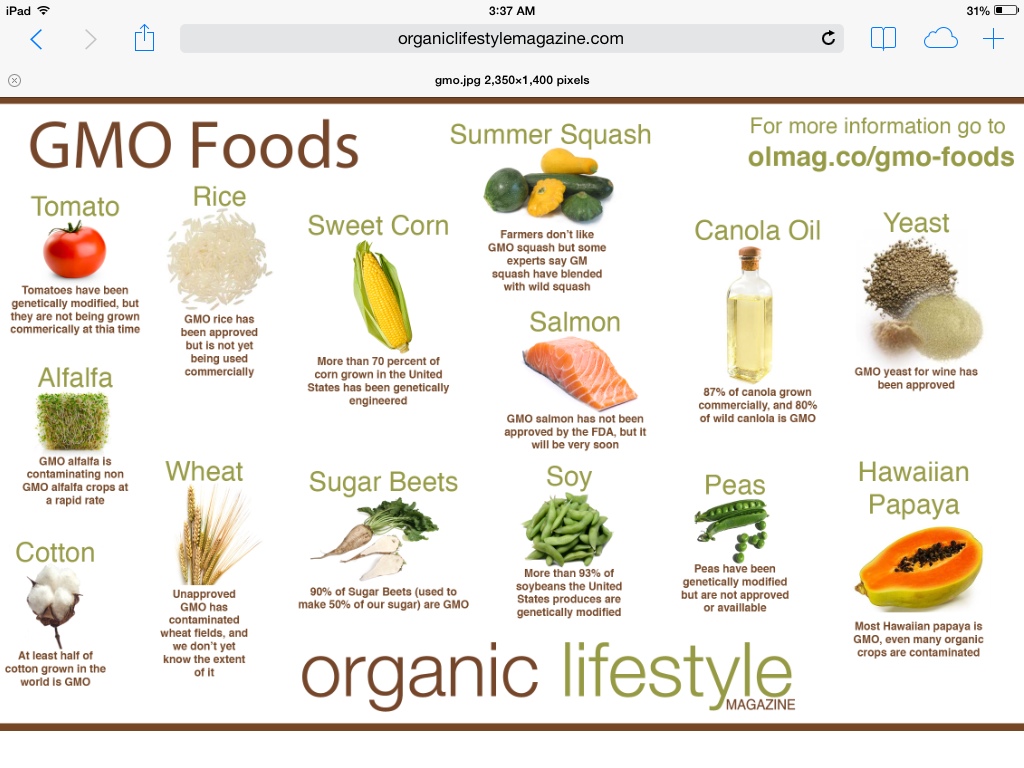 Lists Of Foods Wikipedia